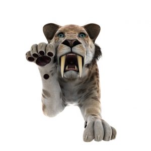 Do Narcissists Get Better with Age? - Shrink4Men